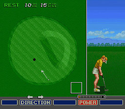 SNES | Irem Skins Game